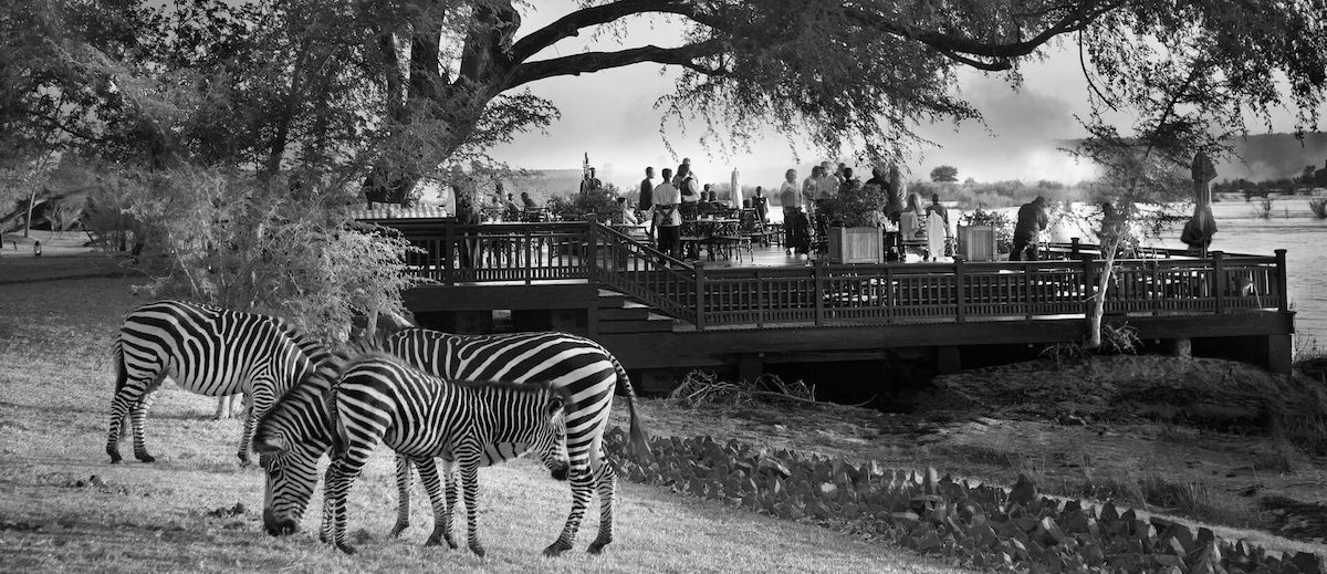 The magic of the bosberaad